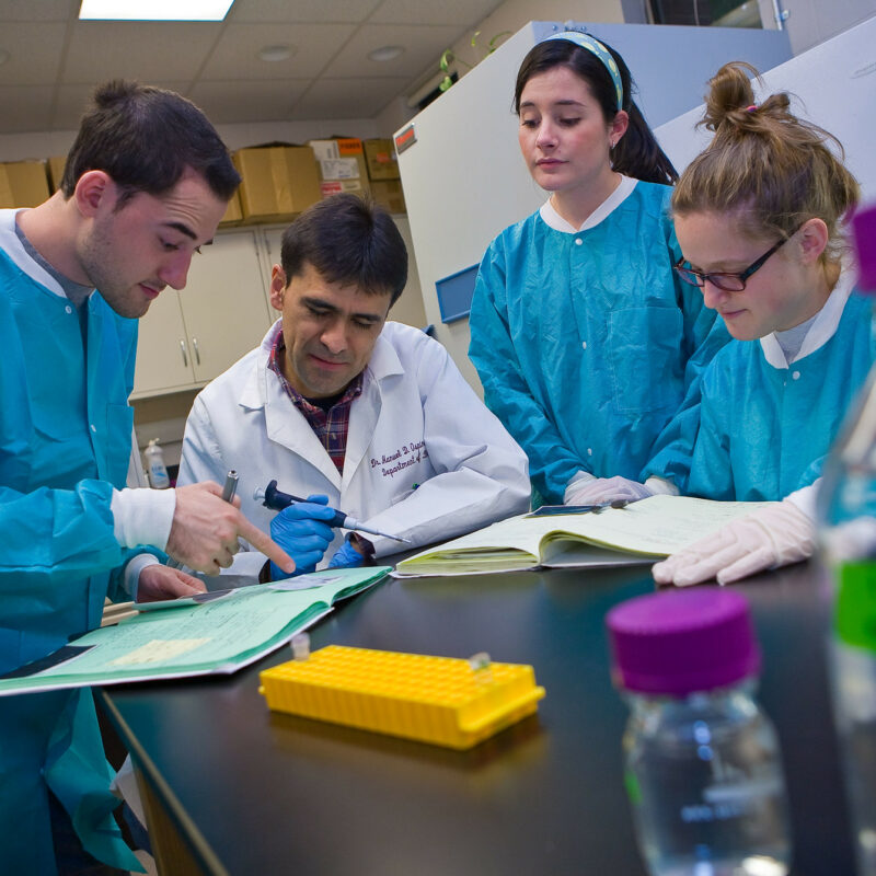 Plan Your Studies and Other Experiences · Health Professions Program ...